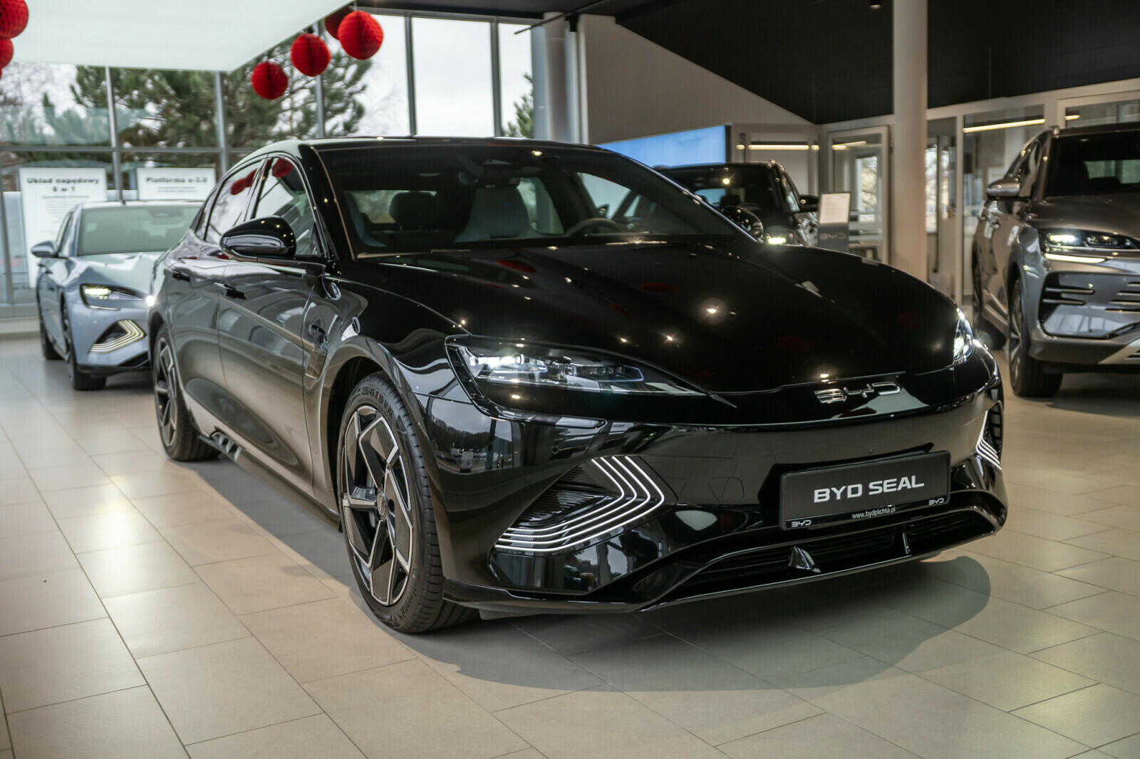 Samochody | BYD Plichta